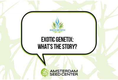 Blog - Exotic Genetix: What's the story?
