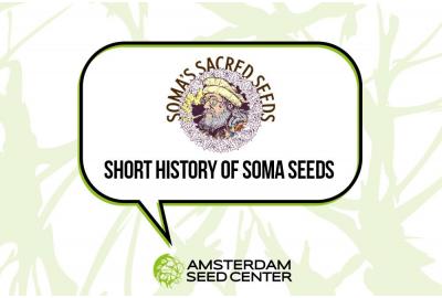 Blog - Short History of Soma Seeds