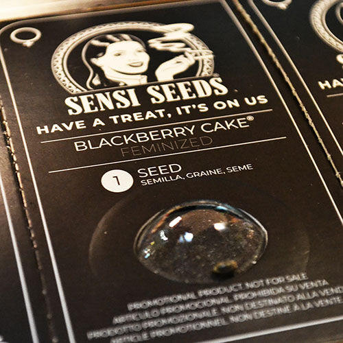 Free Promotions - Free Cannabis Seeds